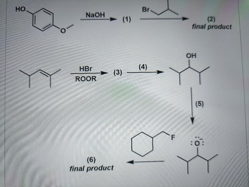 Solved HO Y NaOH HBr ROOR (6) final product (3) (1) Br. (4) | Chegg.com