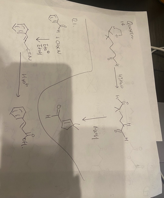 Please explain those reactions. | Chegg.com