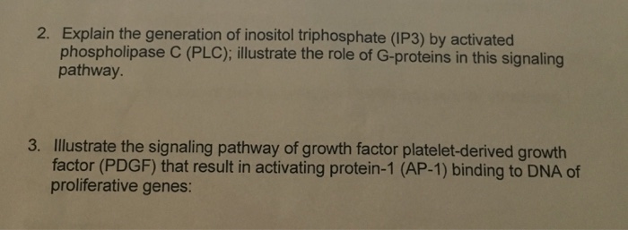 Solved Explain the generation of inositol triphosphate (IP3) | Chegg.com