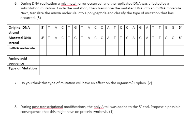 Solved 6. During DNA replication a mis-match error occurred, | Chegg.com