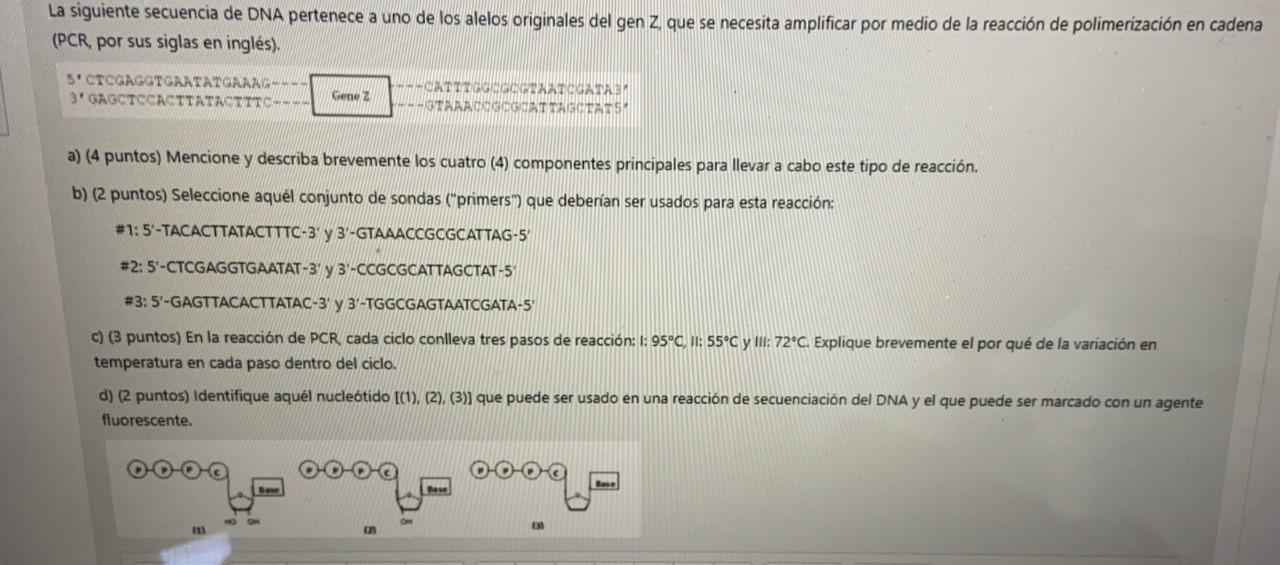 La siguiente secuencia de DNA pertenece a uno de los | Chegg.com
