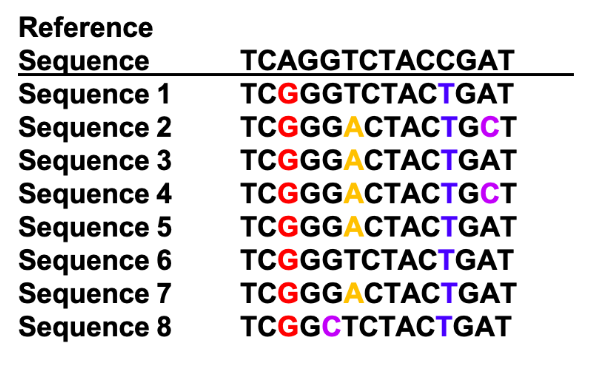 Solved The reference sequence below was determined from | Chegg.com