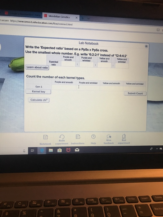 Solved t secure https//newconnect.mheducati tml Lab Notebook | Chegg.com