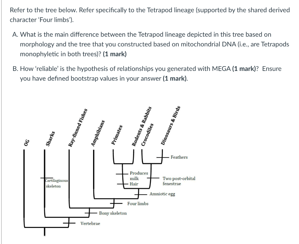Solved Refer to the tree below. Refer specifically to the | Chegg.com