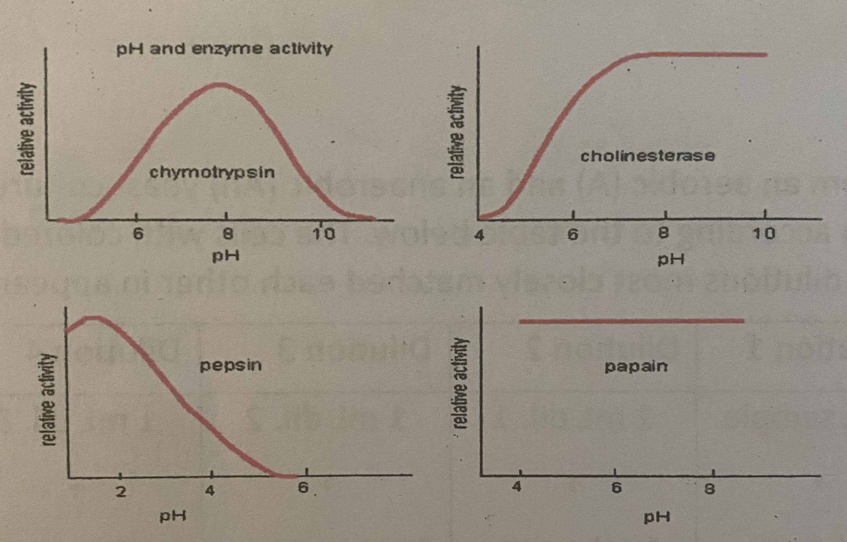 Solved Indicate on the graphs above the optimum pH for each | Chegg.com