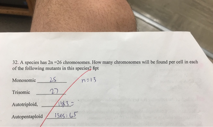 Solved of the following mutants in this species2 8pt | Chegg.com