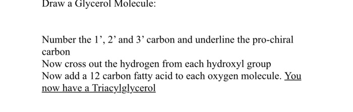 Solved Draw a Glycerol Molecule: Number the 1', 2' and 3' | Chegg.com