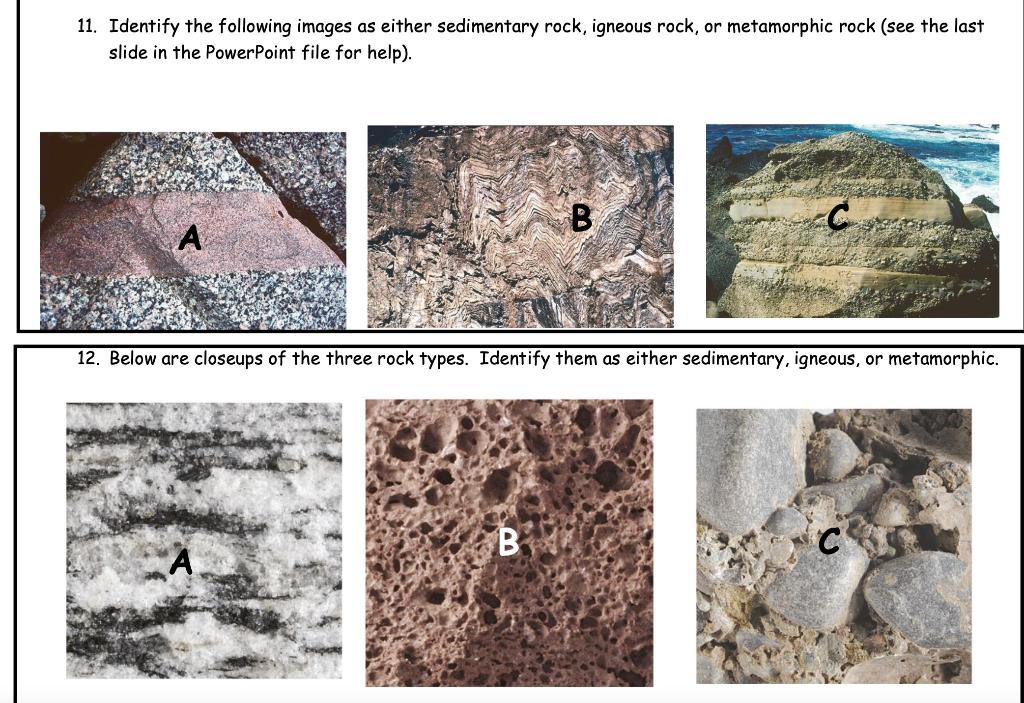 Solved 11. Identify the following images as either | Chegg.com