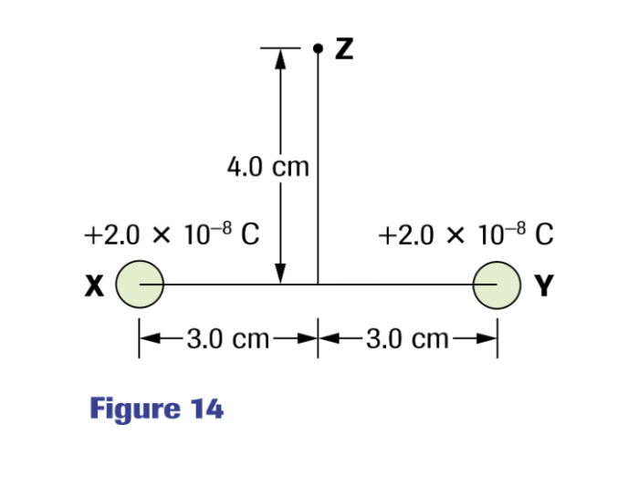 Solved Determine the magnitude and direction of the electric | Chegg.com