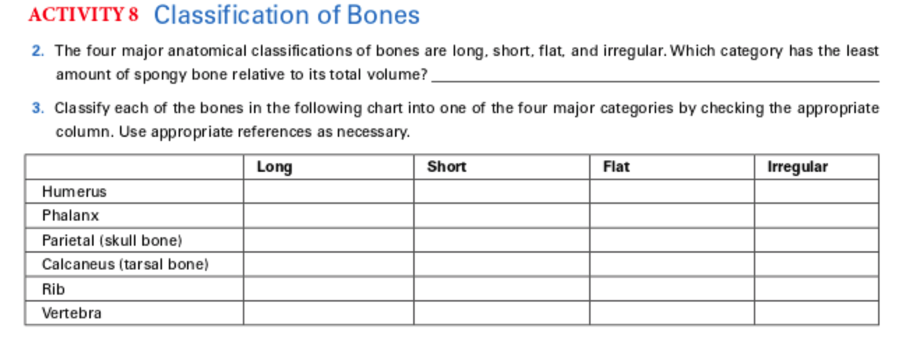Solved ACTIVITY 8 Classification of Bones 2. The four major | Chegg.com