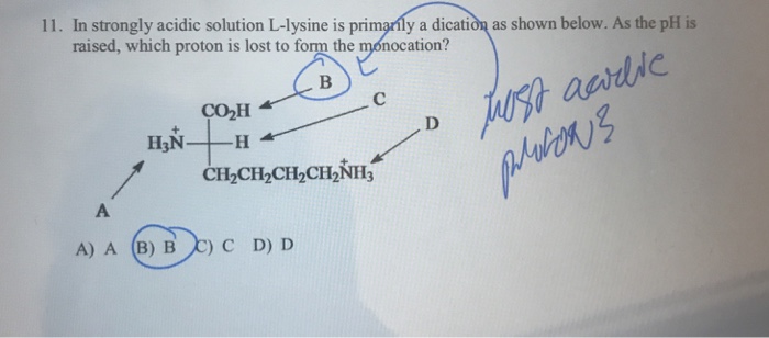 Solved 11. In strongly acidic solution L-lysine is primarly | Chegg.com
