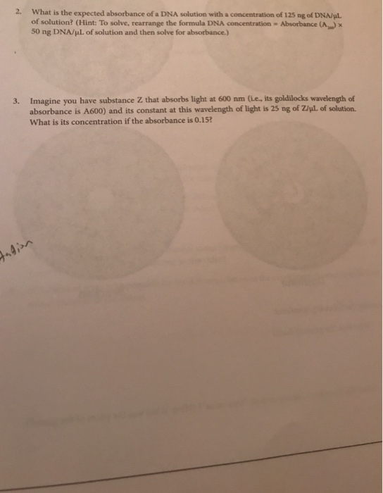 Solved 2. What is the expected absorbance of a DNA solution | Chegg.com