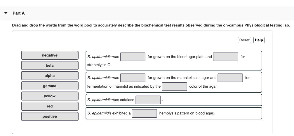 Solved Drag and drop the words from the word pool to | Chegg.com