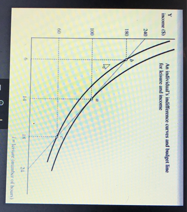 Solved Consider the following graph of an individual's | Chegg.com
