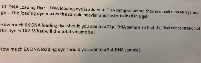 Solved C) DNA Loading Dye DNA loading dye is added to DNA | Chegg.com