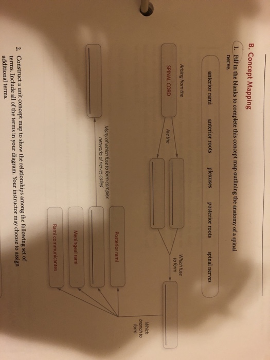 Solved B. Concept Mapping 1. Fill in the blanks to complete | Chegg.com Solved B. Concept Mapping 1. Fill in the blanks to complete | Chegg.com