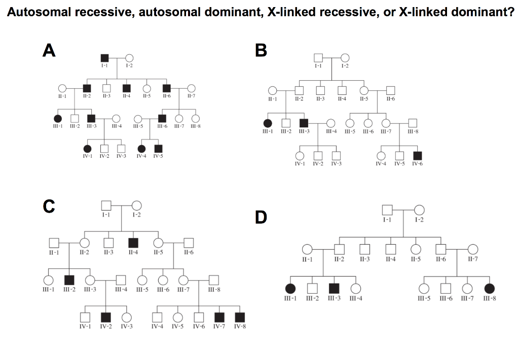 Solved Autosomal recessive, autosomal dominant, X-linked | Chegg.com