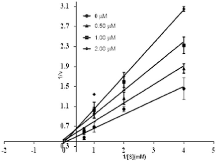 Solved Based on the double reciprocal plot What kind of | Chegg.com