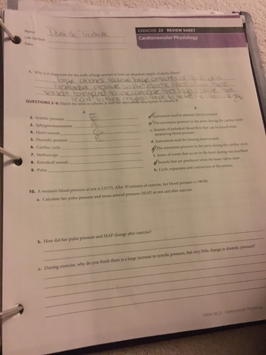 Solved EXERCISE 23 REVIEW SHEET Cardiovascular Date 1. esses | Chegg.com