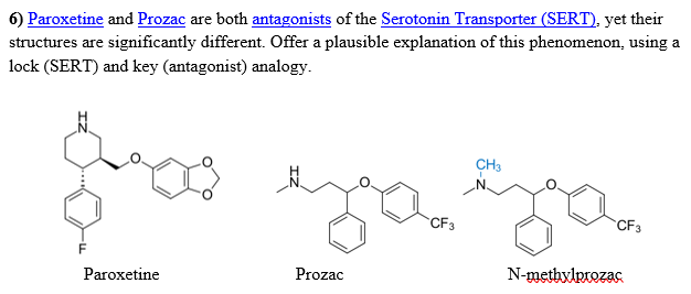 Solved 6) Paroxetine and Prozac are both antagonists of the | Chegg.com