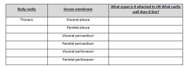 Solved Exercise E: Serous Membranes Background: Each ventral | Chegg.com