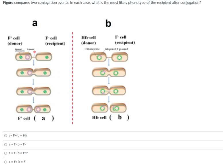 Solved Figure compares two conjugation events. In each case, | Chegg.com