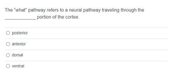 Solved The "what" pathway refers to a neural pathway | Chegg.com