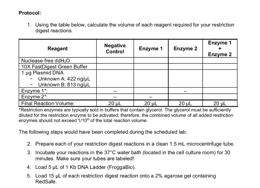 Solved Protocol: 1. Using the table below, calculate the | Chegg.com