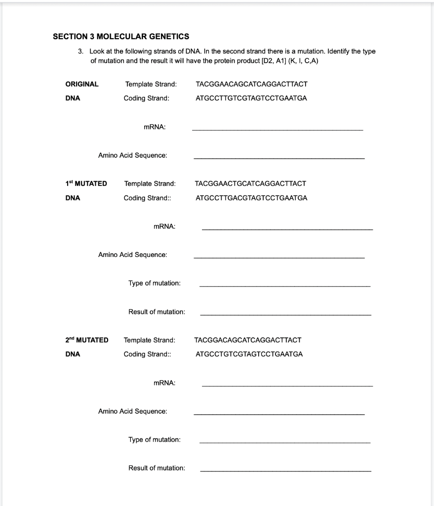 Solved SECTION 3 MOLECULAR GENETICS 3. Look at the following | Chegg.com