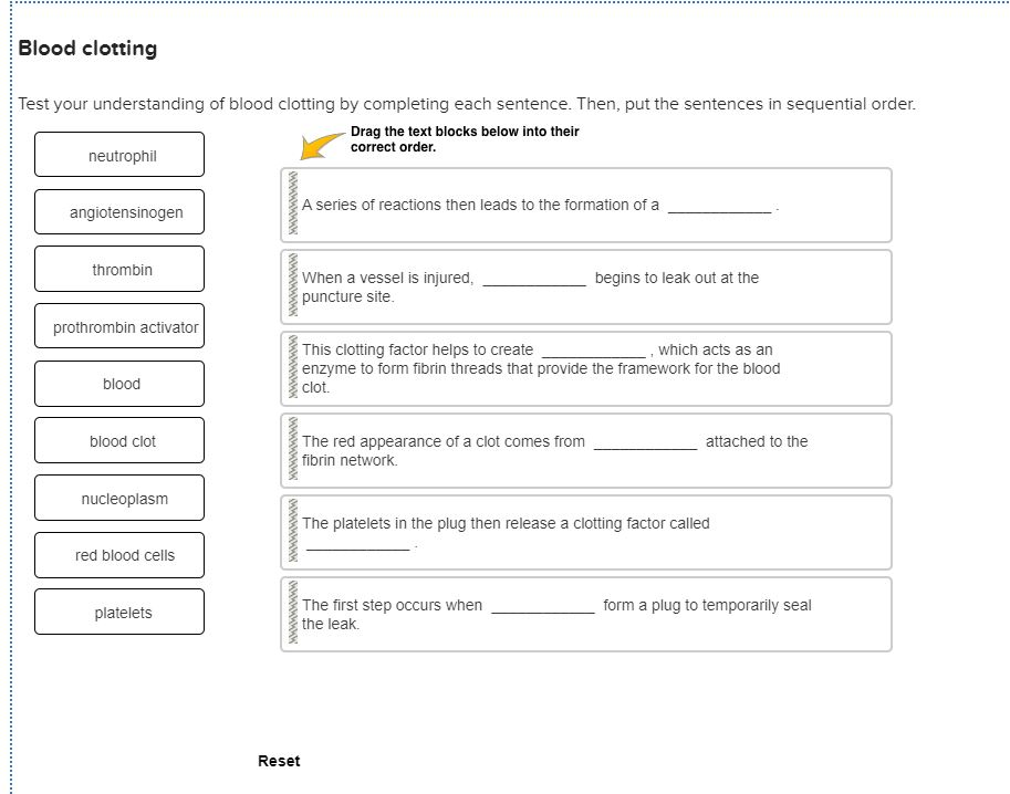 Solved Blood clotting Test your understanding of blood | Chegg.com
