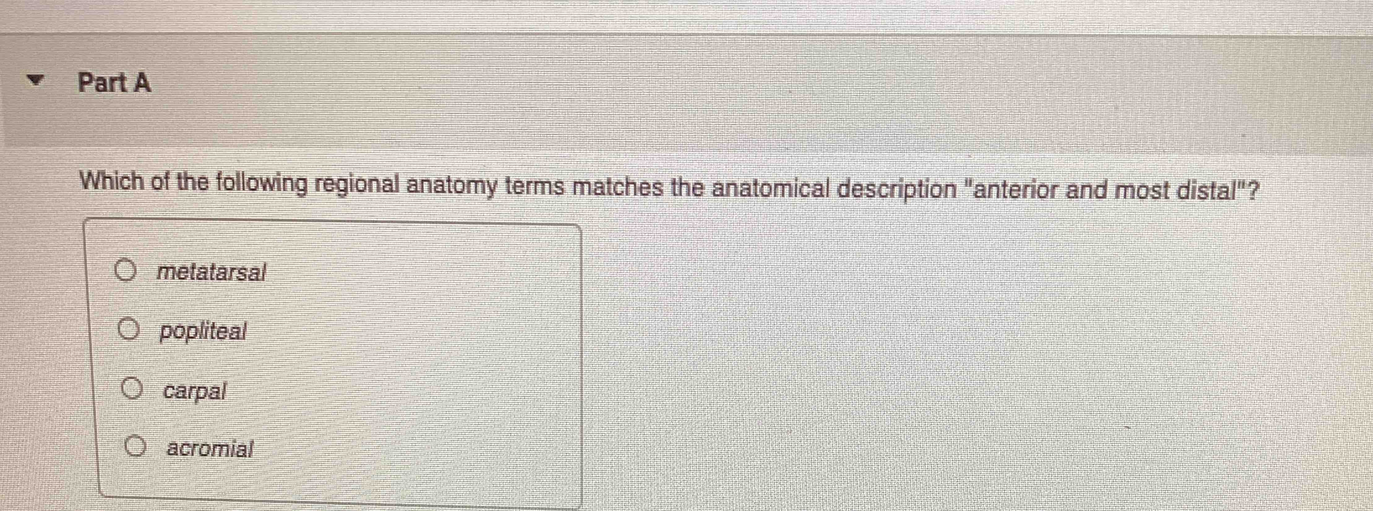 Solved Part AWhich of the following regional anatomy terms | Chegg.com