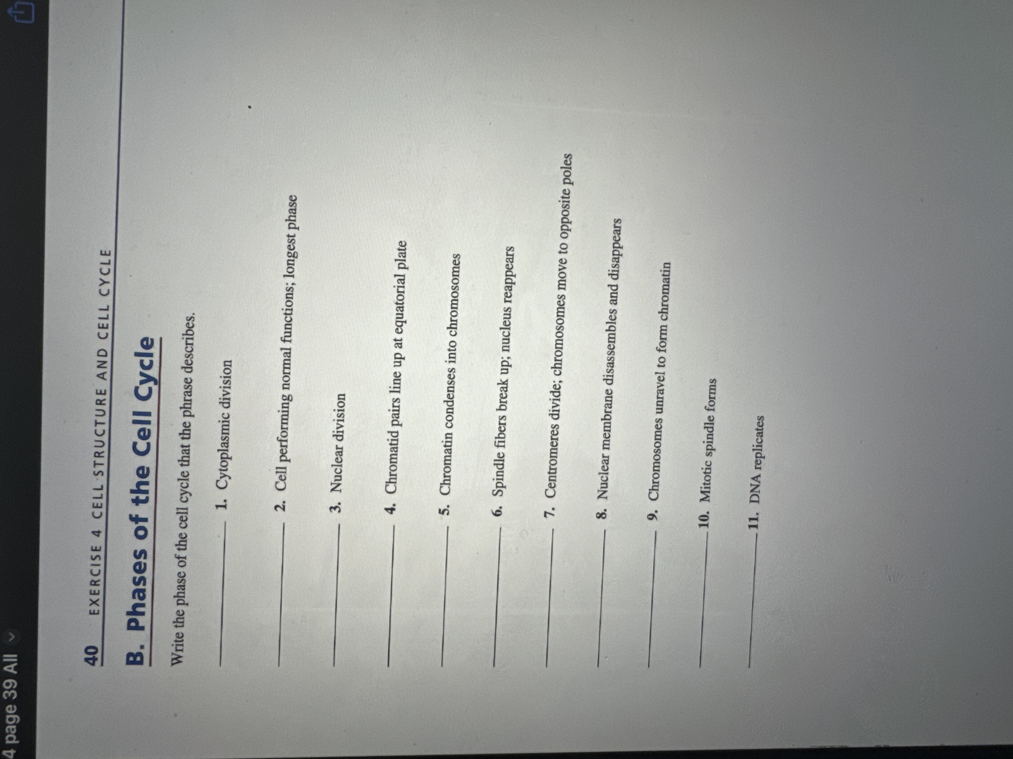 Solved B. ﻿Phases of the Cell CycleWrite the phase of the | Chegg.com