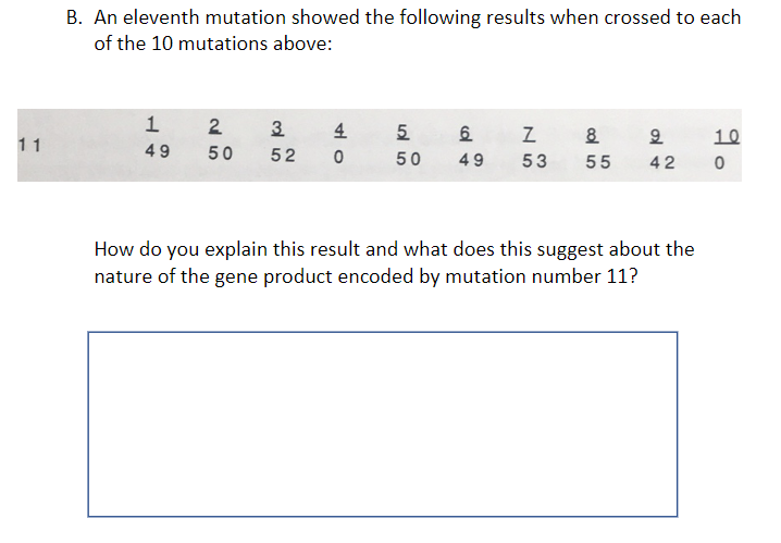 Solved A balancer chromosome often used in Drosophila | Chegg.com