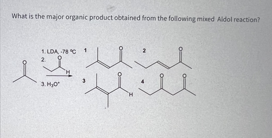 Solved What is the major organic product obtained from the | Chegg.com