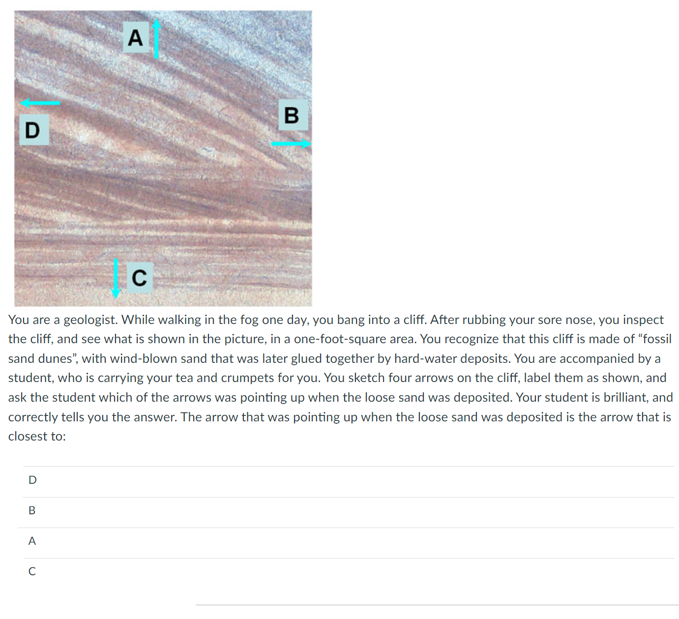 Solved DO NOT COPY! This specific arrows and orientation is | Chegg.com
