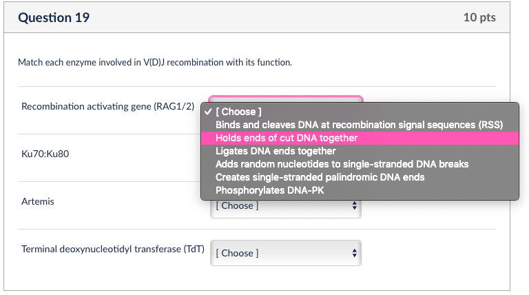 Solved Match each enzyme involved in V(D)J recombination | Chegg.com