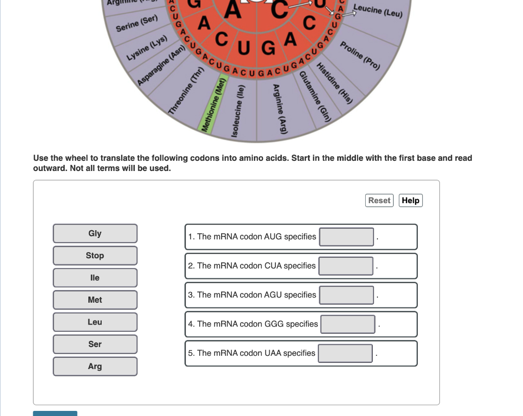 Solved GUCPODOPOSUCO 5040 2040SOLO, The process of | Chegg.com