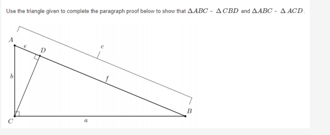 Solved Use the triangle given to complete the paragraph | Chegg.com