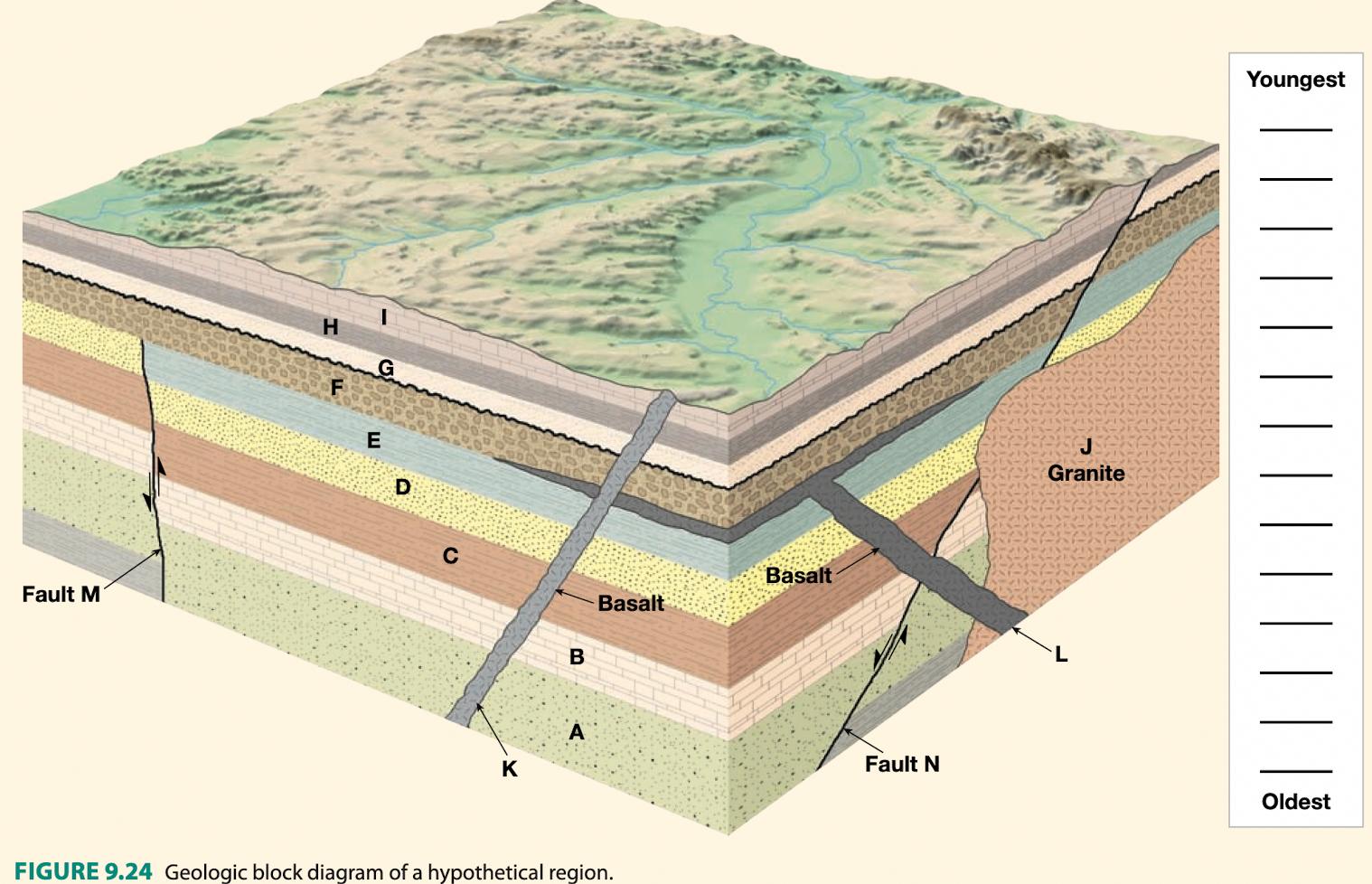 Solved 1. Place the lettered features in proper sequence, | Chegg.com