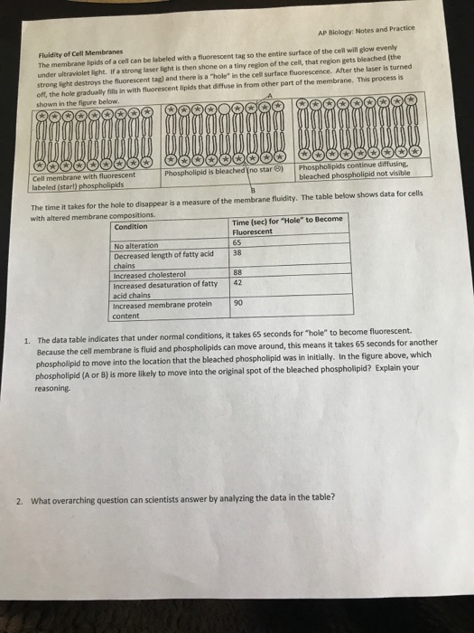 Solved AP Biology: Notes and Practice Fluidity of Cell | Chegg.com