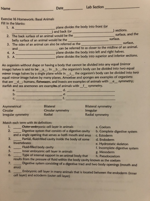 Solved Name Date_ Lab Section Exercise 16 Homework: Basal | Chegg.com