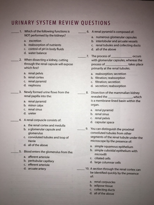 Solved URINARY SYSTEM REVIEW QUESTIONS Which of the | Chegg.com