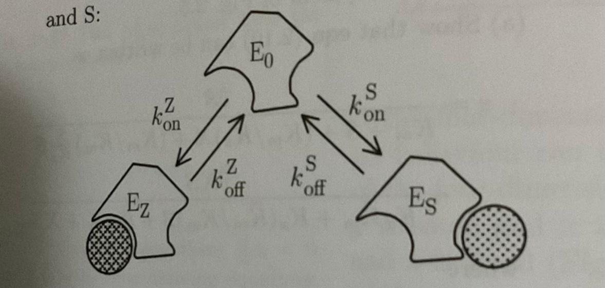 Solved Consider the following diagram of an enzyme capable | Chegg.com