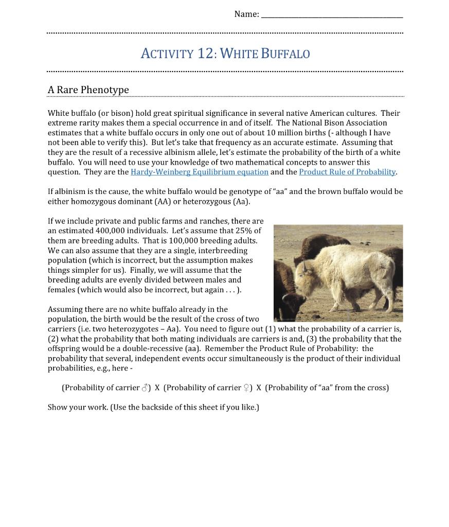 Solved Name: ACTIVITY 12: WHITE BUFFALO A Rare Phenotype | Chegg.com