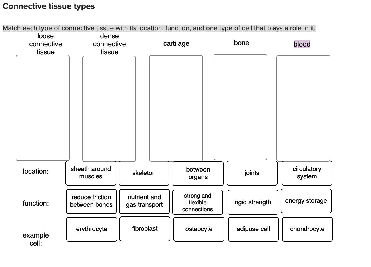 Solved Connective tissue types Match each type of connective | Chegg.com Solved Connective tissue types Match each type of connective | Chegg.com