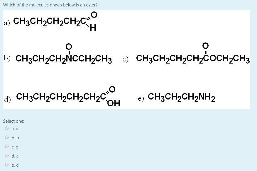 Solved What is the IUPAC name of the compound shown below? | Chegg.com