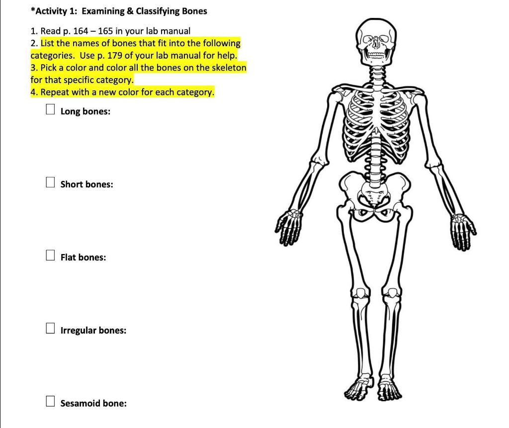 Solved *Activity 1: Examining & Classifying Bones come 1. | Chegg.com