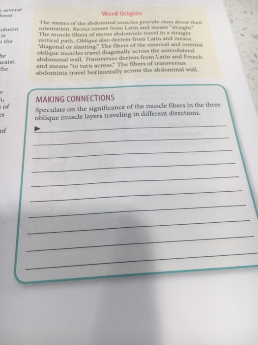 Solved several orm Word Origins The names of the abdominal | Chegg.com