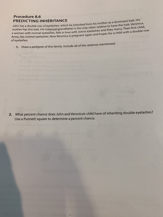 Solved Procedure 86 Predicting Inheritance John Has A 