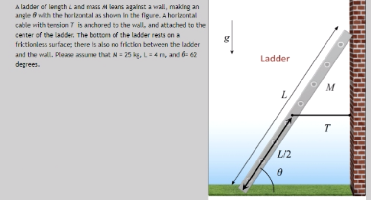 Solved A ladder of length L and mass M leans against a wall, | Chegg.com